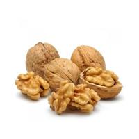 China Chinese Wholesale XinJiang 33 xiner Walnuts with shell 32mm with extra light kernels prices for sale