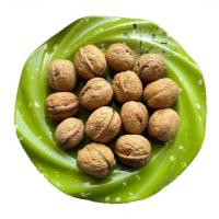 China Cheap Wholesale Price Trade Nuts And Dried Mixed Fruits Drying Import Nuts Walnuts Raw In Shell for sale