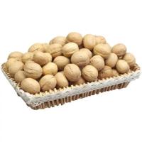 China China walnuts Factory Supplier Wholesale Healthy inshell Organic walnuts Food with Walnuts kenrel for sale