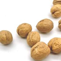 China China walnuts Factory Supplier Wholesale Healthy inshell Organic walnuts Food with Walnuts kenrel for sale