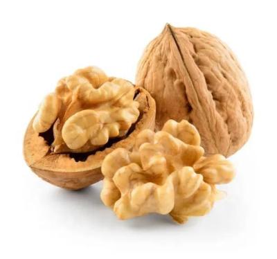China Top quality Thin-skin paper shell Walnut 185 with shell in bulk wholesale from China for sale