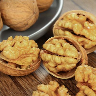 China Wholesale Factory Directly Chinese akhrot in shell Xinjiang walnut 33 walnut kernel export Russia OEM ODM Amazon’s best- for sale