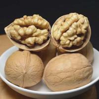 China Wholesale Factory Directly Chinese akhrot in shell Xinjiang walnut 33 walnut kernel export Russia OEM ODM Amazon’s best- for sale