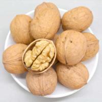 China Wholesale Chinese xinjiang akhrot walnut in shell with high quality walnuts kernel ODM OEM for sale