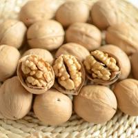 China Wholesale Chinese xinjiang akhrot walnut in shell with high quality walnuts kernel ODM OEM for sale