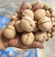 China Wholesale XinJiang Walnuts Are Exported To Southeast Asia 185 best-selling plump walnut kernels for sale