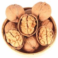 China Wholesale XinJiang Walnuts Are Exported To Southeast Asia 185 best-selling plump walnut kernels for sale