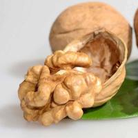 China Wholesale XinJiang Walnuts Are Exported To Southeast Asia 185 best-selling plump walnut kernels for sale