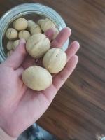 China Xinjiang organic walnuts that meet international import standards are sold wholesale on Amazon for sale