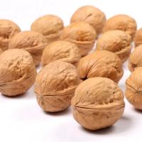 China Xinjiang organic walnuts that meet international import standards are sold wholesale for sale