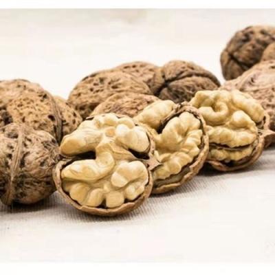 China Amazon hot sale Factory Directly Xinjiang walnut xin2 walnut kernel export Russia OEM ODM for sale