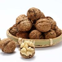 China Amazon hot sale Factory Directly Xinjiang walnut xin2 walnut kernel export Russia OEM ODM for sale
