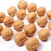 China Amazon hot sale whole sell China organic walnuts 25kg bags meet Russian import standards with best quality for sale