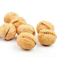 China Chinese Supplier Raw Xinjiang 185 Walnut Light Amber Color In Shell Wholesale Price For Sale for sale