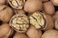 China Walnut supplier origin direct direct price concession support ODM/OEM xin33 for sale