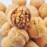 China Wholesale Xinjiang xin2 high-quality walnuts exported to Southeast Asia OEM ODM Amazon’s best-selling products for sale