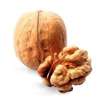 China Wholesale Xinjiang xin2 high-quality walnuts exported to Southeast Asia OEM ODM Amazon’s best-selling products for sale