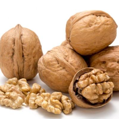 China Special Discount Cheapest Price Walnut Inshell Xinjiang Manufacturer Paper Wallnut xin33 for sale