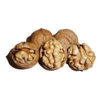 China Special Discount Cheapest Price Walnut Inshell Xinjiang Manufacturer Paper Wallnut xin33 for sale
