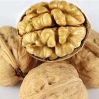 China Wholesale Walnut Inshell Fresh Delicious Nutrition Kernel Food Dried Walnuts Factory Price Amazon’s best-selling products for sale