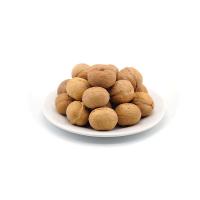 China Wholesale Walnuts in shell all natural product good quality supplier walnuts for sale for sale