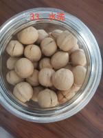 China Wholesale Walnuts in shell all natural product good quality supplier walnuts for sale for sale