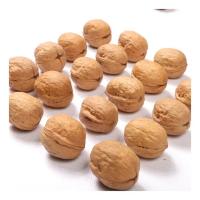China Amazon hot sale High Quality Cheap Wholesale Price Dried Raw Walnuts For sale for sale