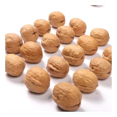 China Amazon hot sale High Quality Cheap Wholesale Price Dried Raw Walnuts For sale for sale