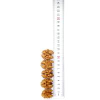 China Hot New Crop Amazon hot sale premium edible walnuts Without Shell Manufacturing wholesale in China for sale