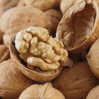 China Chinese Low Price Wholesale High Quality Chinese Organic Nutrition Walnut Walnut Kernel LQ for sale
