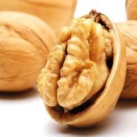 China Low Price Wholesale High Quality Chinese Organic Walnut And Walnut kernel LAQ Amazon’s best-selling products for sale