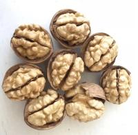 China Low Price Wholesale High Quality Chinese Organic Walnut And Walnut kernel LAQ Amazon’s best-selling products for sale