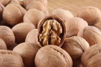 China Walnut Chinan Manufacturer Xin2 walnut In shell Best Price Delicious Light Brown Top Grade Amazon’s best-selling products for sale