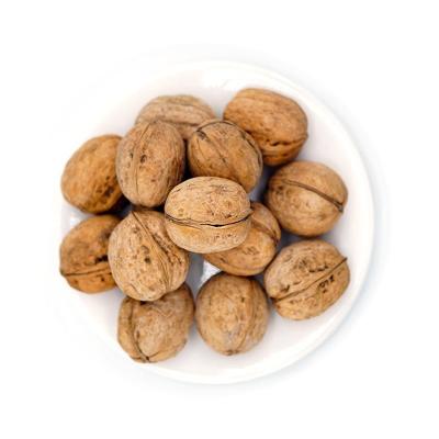 China Amazon hot sale Wholesale High Quality original paper shell Walnut for sale in bulk for sale