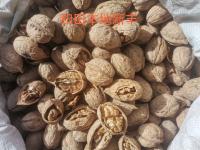 China Professional dried fruit and nuts factory wholesale sale fresh and dried walnuts from China for sale