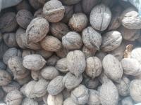 China Professional dried fruit and nuts factory wholesale sale fresh and dried walnuts from China for sale