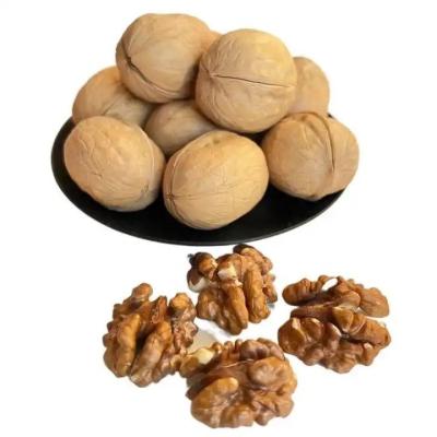 China Factory Wholesale 10kg/bag raw 185/33/xin2/xingfu walnuts Amazon’s best-selling products for sale