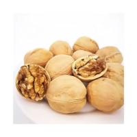 China Hot The best quality of xinjiang walnuts in wholesale at cheap price Amazon’s best-selling products for sale