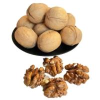 China Chinese Factory bulk sale high-quality Xinjiang big walnuts in shelled and dried fruits and nuts for sale
