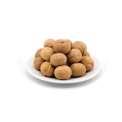 China Wholesale China walnut in shell 32mm walnuts fresh with cheap price Amazon’s best-selling products for sale