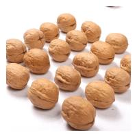 China Manufacturer bulk sale Xinjiang 185 walnuts in shelled and xin2/33 walnuts for sale