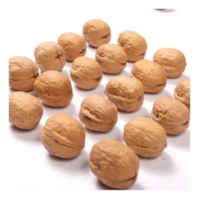 China Manufacturer bulk sale Xinjiang 185 walnuts in shelled and xin2/33 walnuts for sale