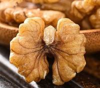 China China New Crop Hot Sale In Turkey From China Walnuts Kernel Halves Paper Shell Walnut for sale