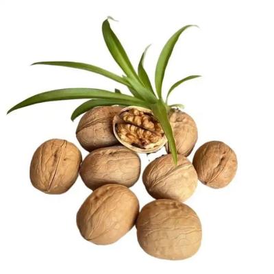 China wholesale high-quality Xinjiang walnuts shelled walnuts with cheap price Amazon’s best-selling products for sale