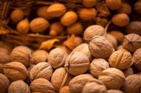 China Fresh Raw Xinjiang 185 Walnut Light Amber Color In Shell Wholesale Price For Sale Amazon’s best-selling products for sale