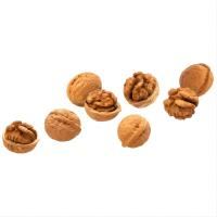 China Fresh Raw Xinjiang 185 Walnut Light Amber Color In Shell Wholesale Price For Sale Amazon’s best-selling products for sale