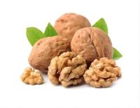China 100% Natural Thin Skin Xin2 Walnut Best Price Wholesale Factory in Shell Hot selling agricultural products for sale