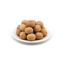 China Amazon hot sale Chinese factories sell various models of organic walnuts in Xinjiang at cheap prices for sale