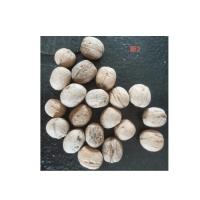 China China nut manufacturer wholesale 185/33/xin2 and other high quality organic walnuts for sale