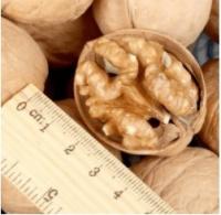 China Raw Walnut Wholesale Top Class Walnut Kernels Dried Style Walnut. for sale